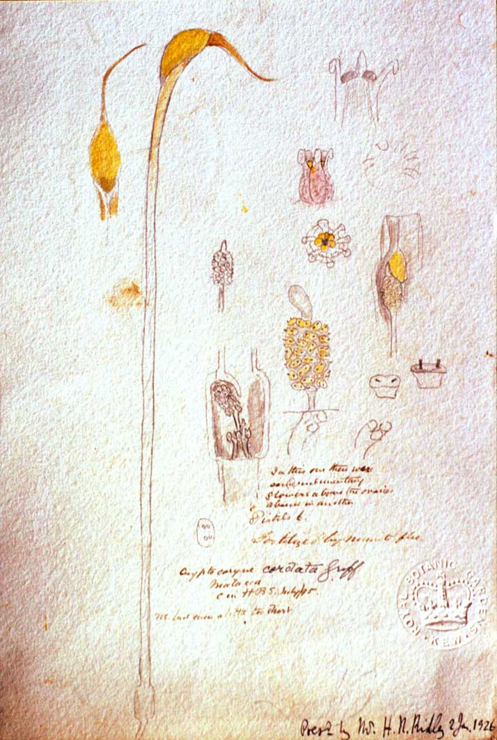 The Crypts pages~ by Jan D. Bastmeijer