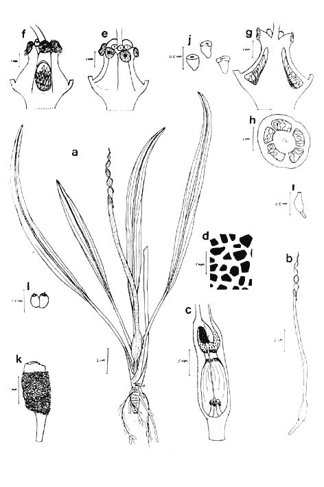 The Crypts pages~ by Jan D. Bastmeijer